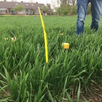 Smart Potato gaat ‘underground’ – Innovation Center Connected Solututions